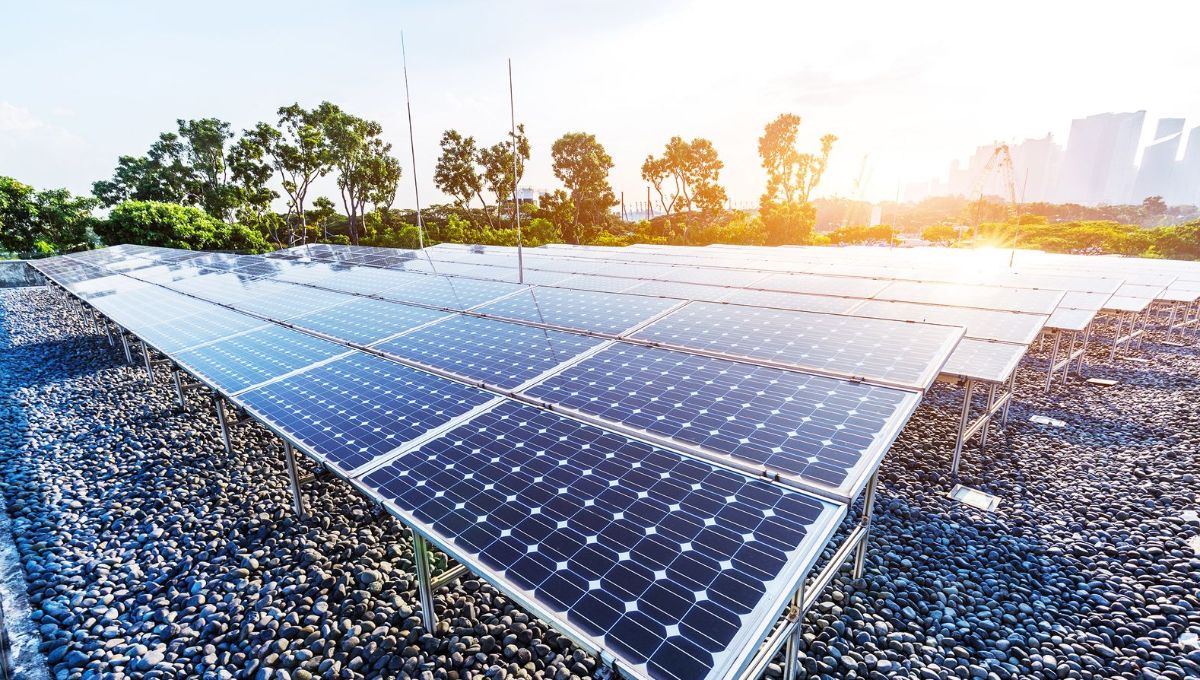 Nexans - Cables Solares Premium para proyectos solares